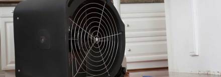 5 Best Box Fans - Aug. 2025 - BestReviews